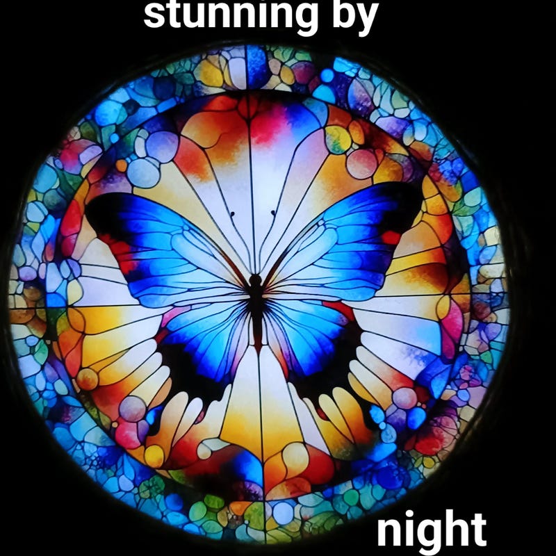 Solar Butterfly - Etsy UK