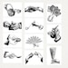 19 PNG Images I Vintage Victorian Hand 1880s Antique Hands Clipart ...