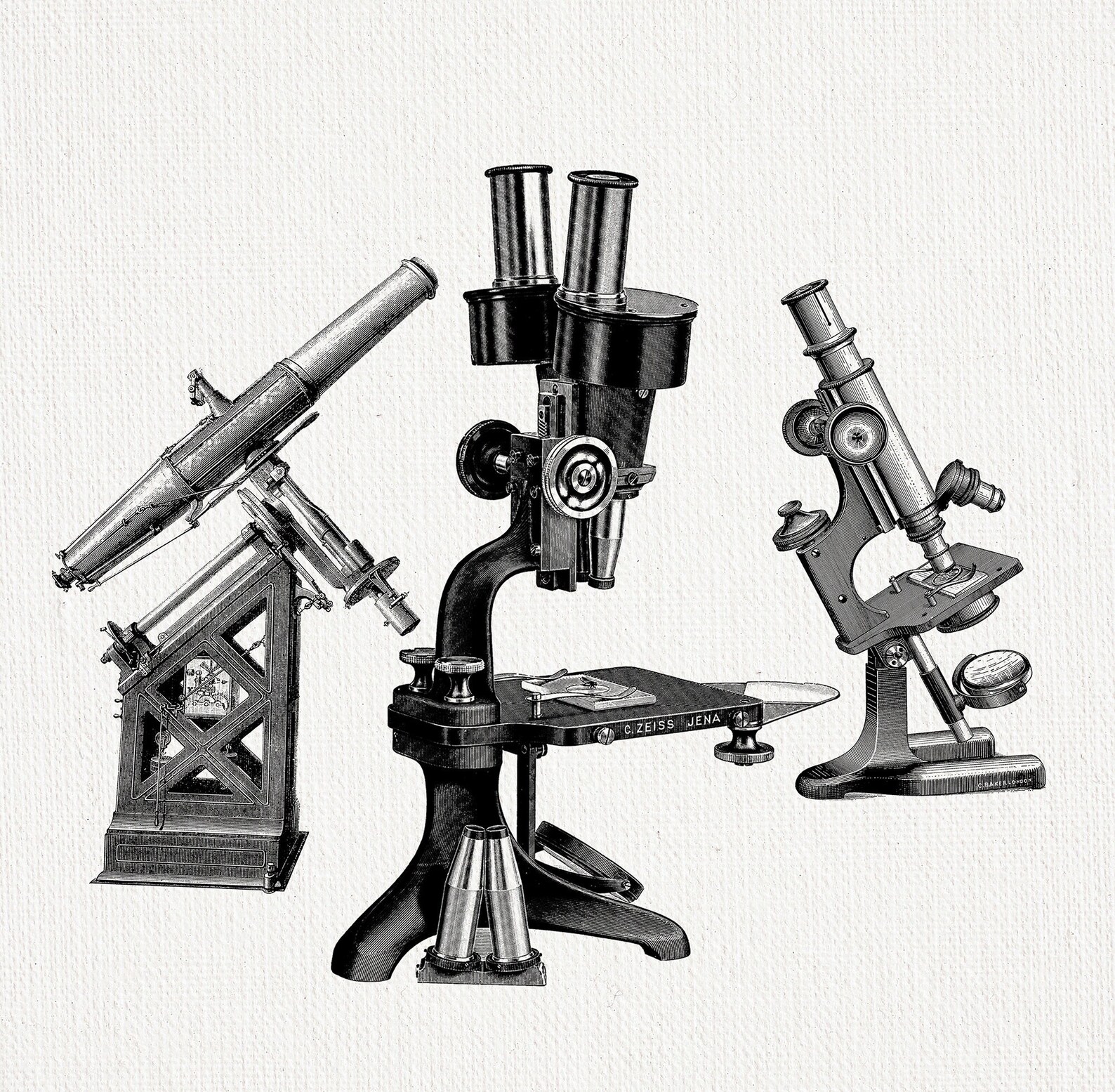 Vintage Microscope Illustration, Microscope Clip Art, Antique Print ...