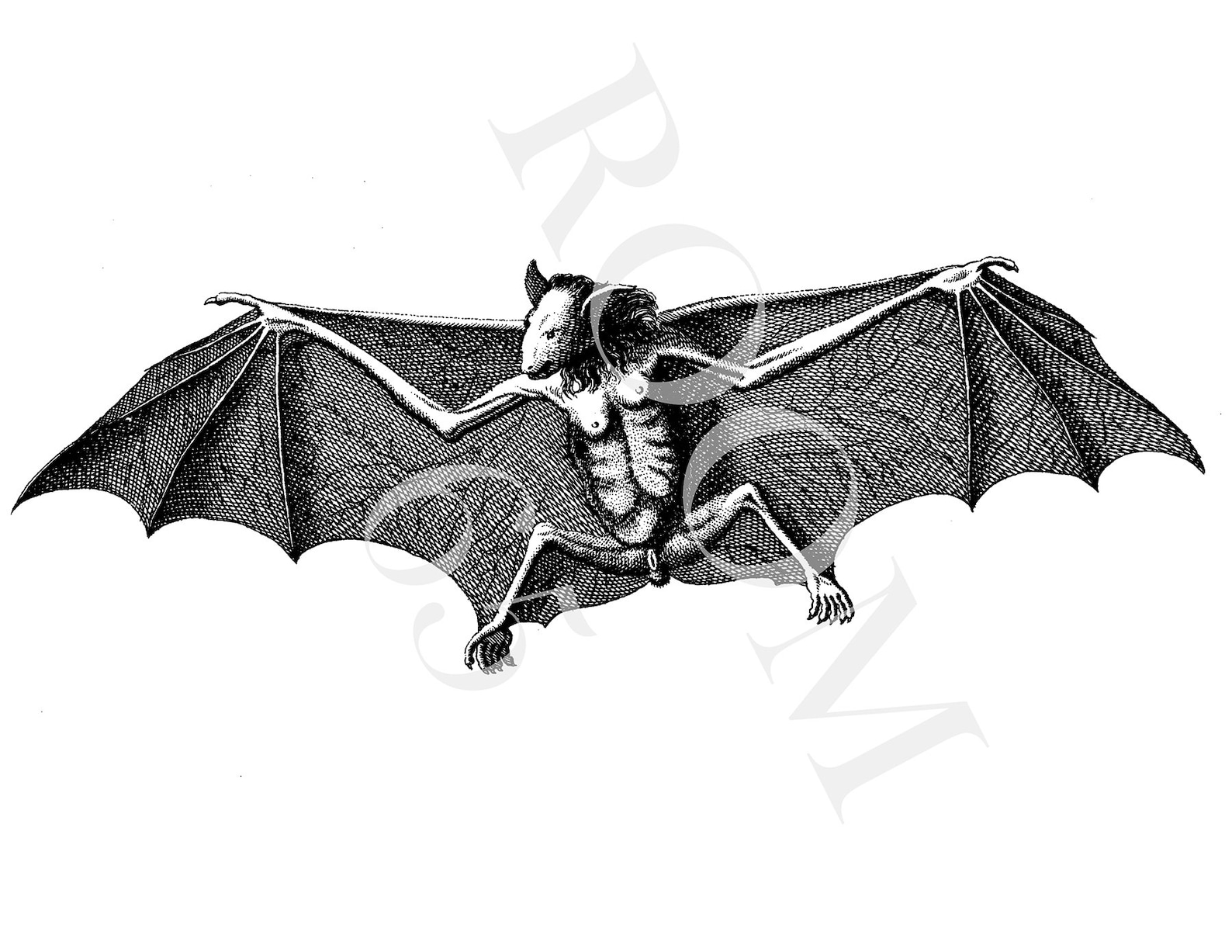 5 PNG Vintage Bat Clip Art, Vintage Animal Clip Art, Vintage Bat Image ...