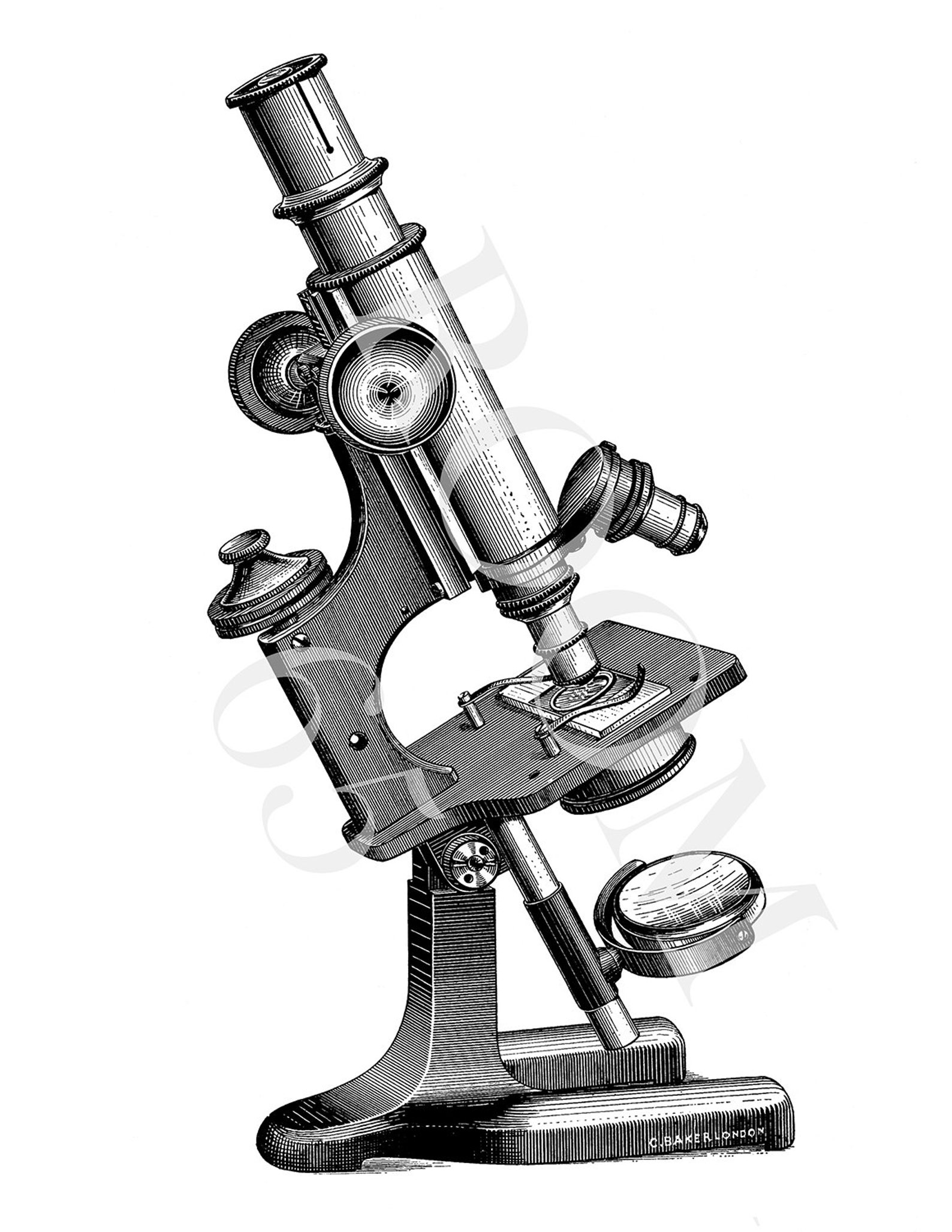 Vintage Microscope Illustration, Microscope Clip Art, Antique Print ...