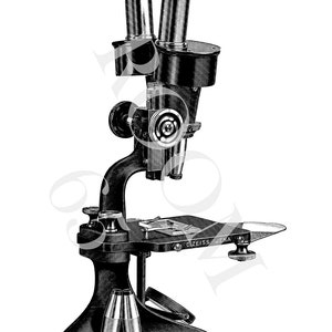 Vintage Microscope Illustration, Microscope Clip Art, Antique Print ...
