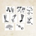 17 PNG Collages I Vintage Victorian Hand | 1880s Antique Hands Clipart ...