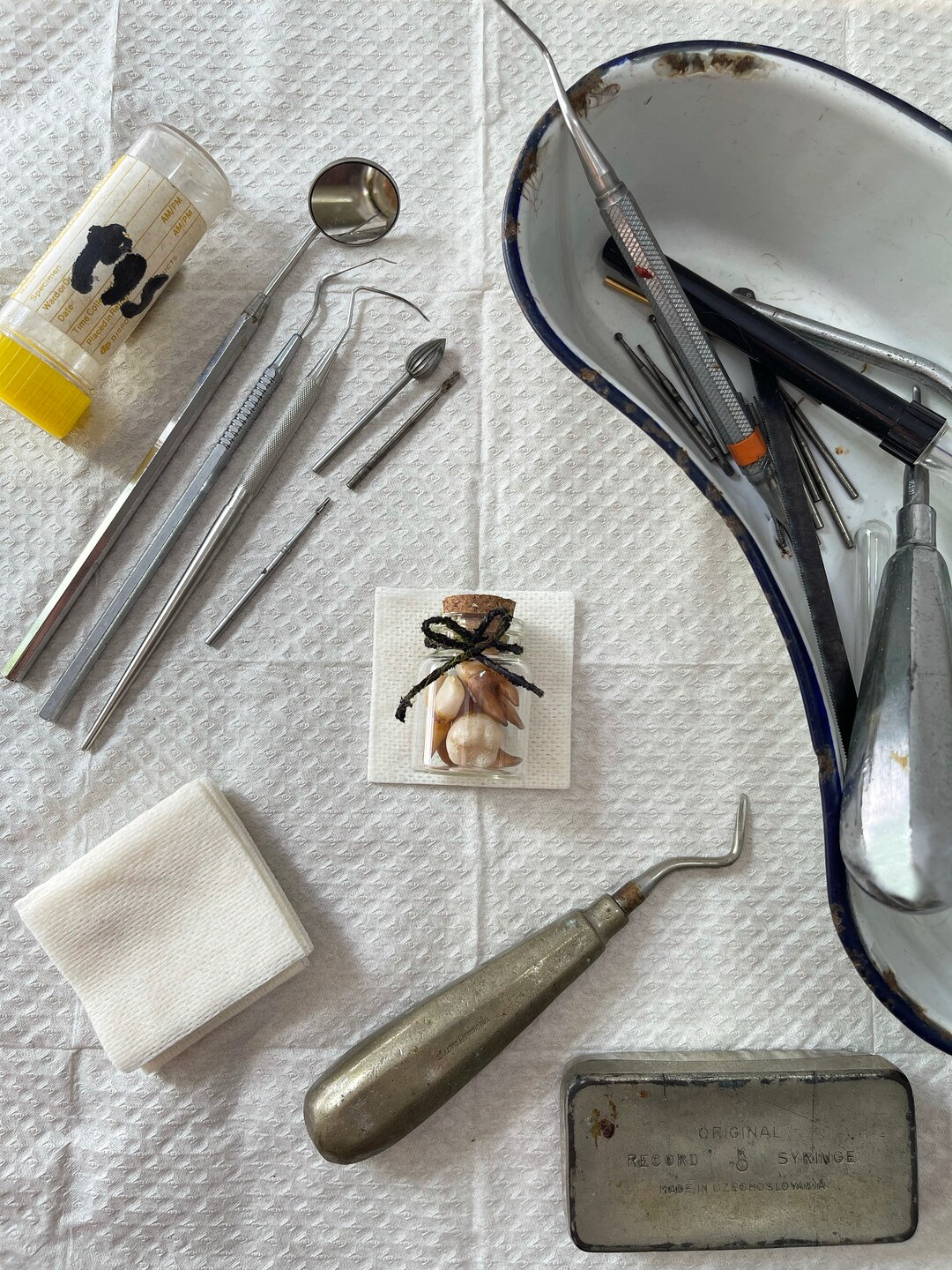 Jar of Human Teeth - 5 Teeth - Etsy