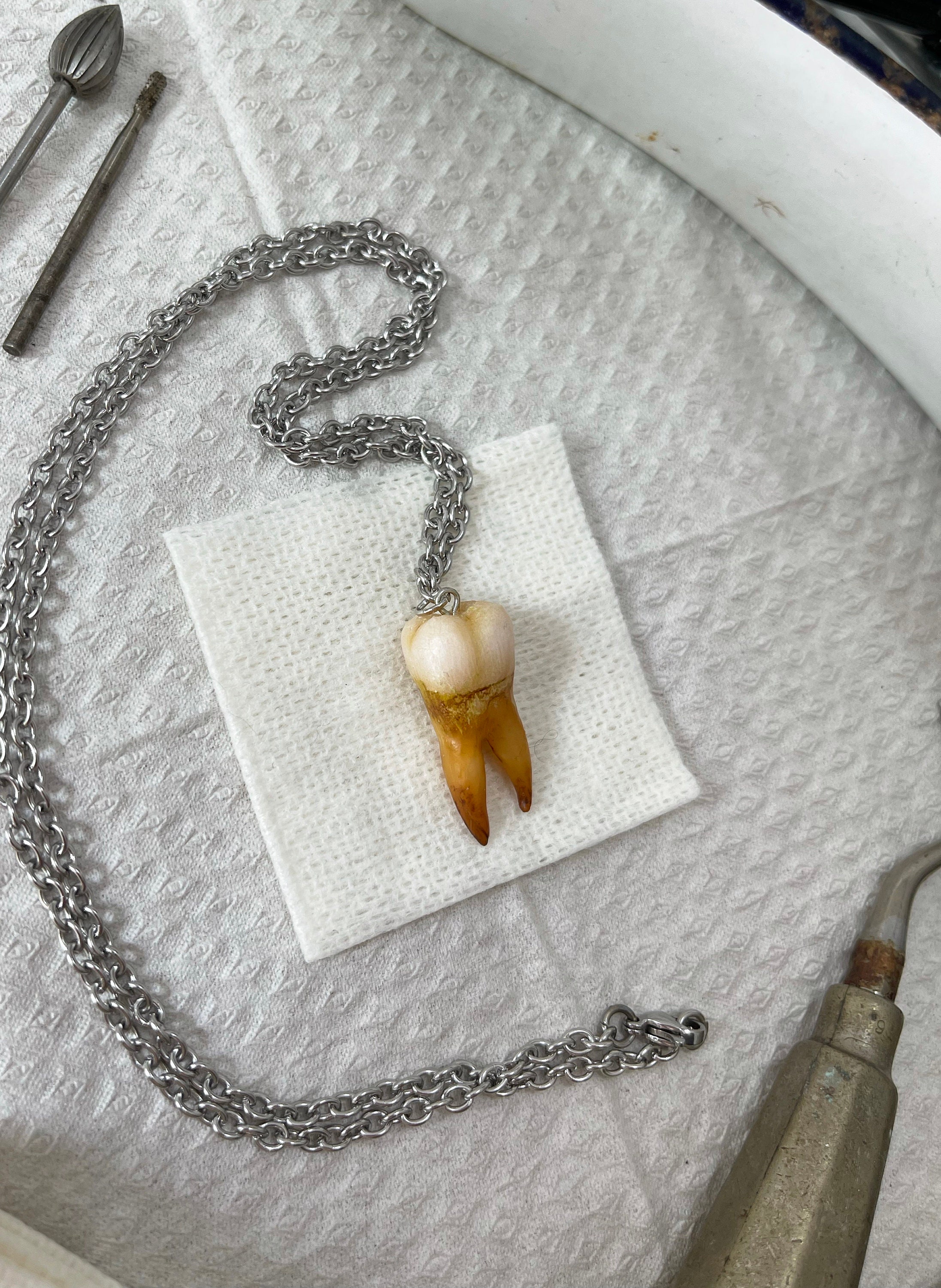 Human Tooth Pendant Necklace - Etsy