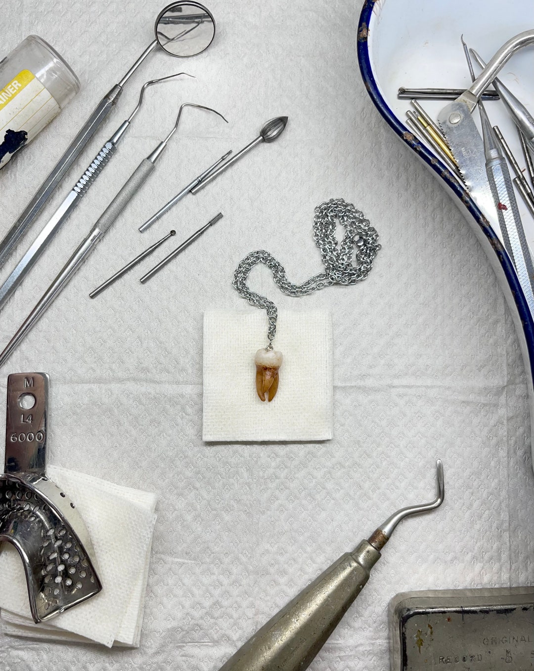 Human Tooth Pendant Necklace - Etsy