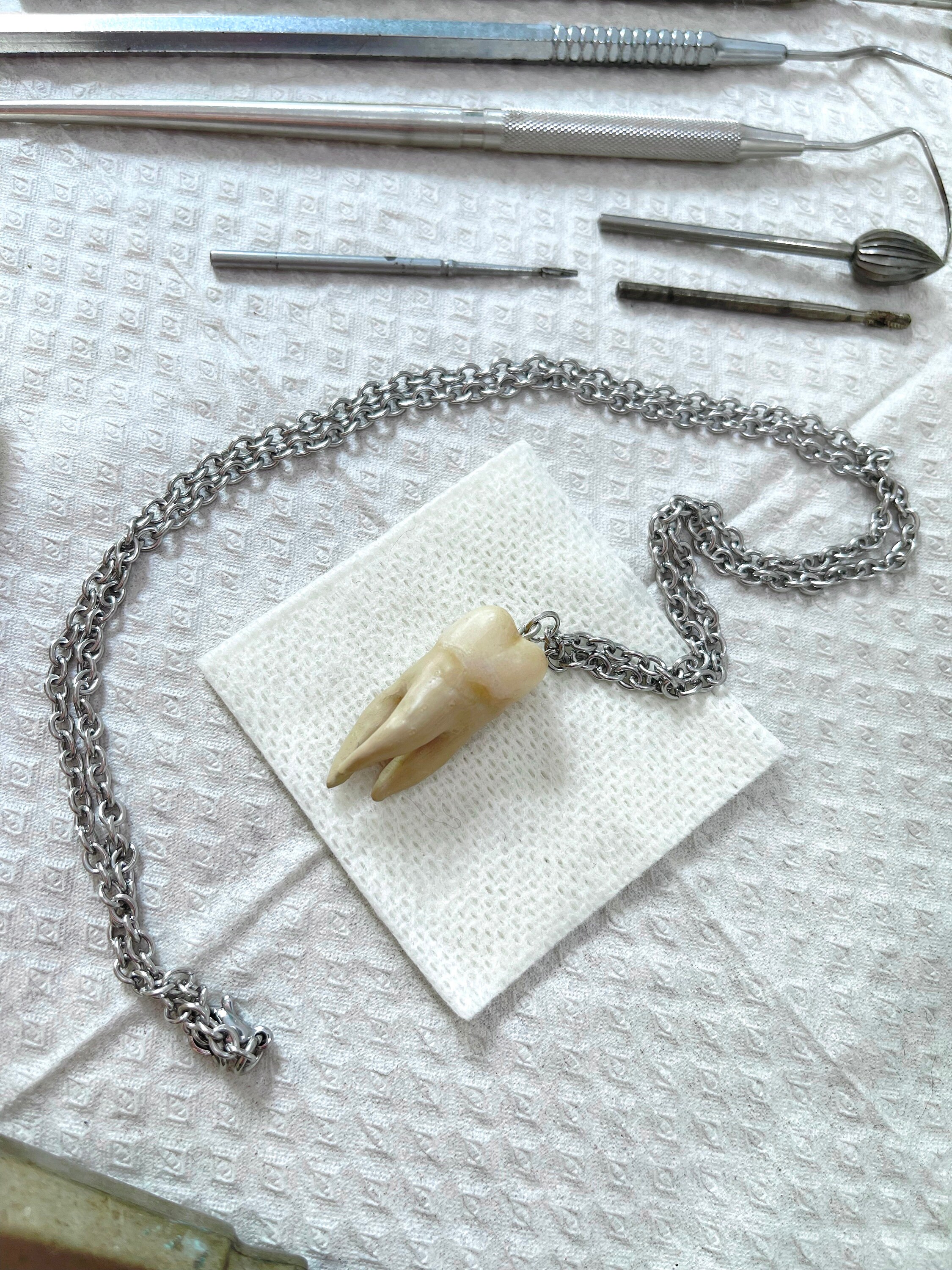 Human Tooth Pendant Necklace - Etsy