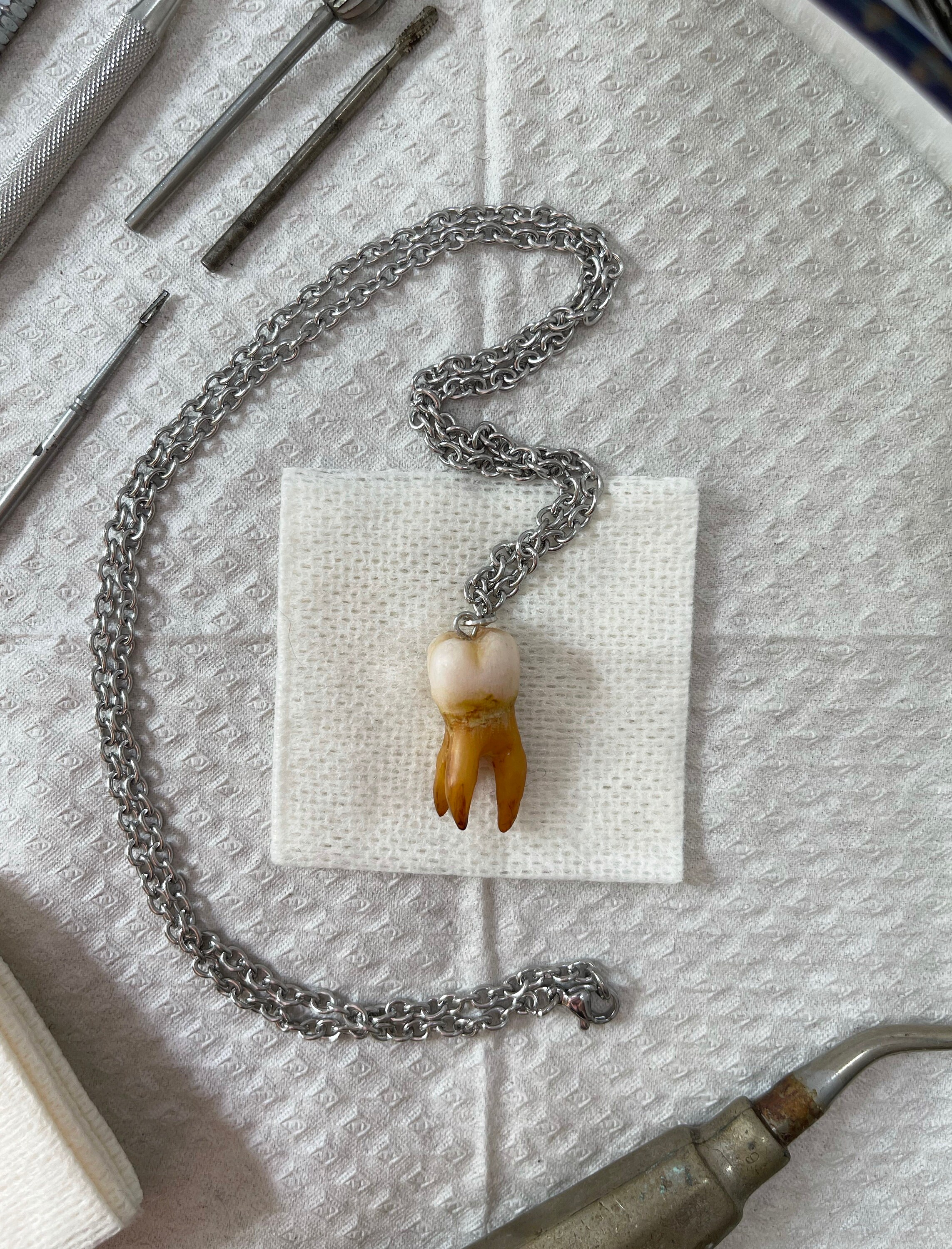 Human Tooth Pendant Necklace - Etsy