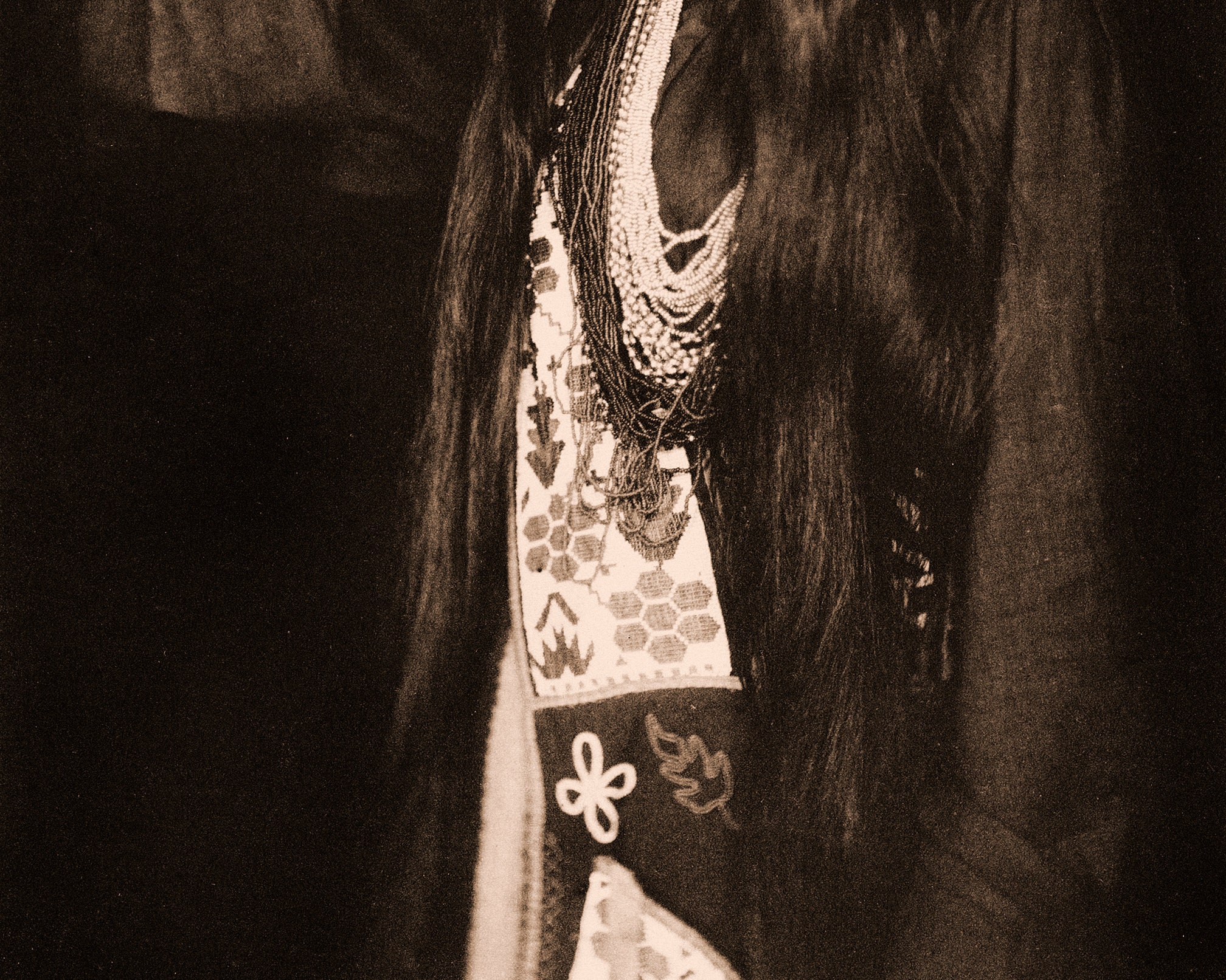 Zitkala Sa Photograph, American Indian Activist, Dakota Indian Woman ...