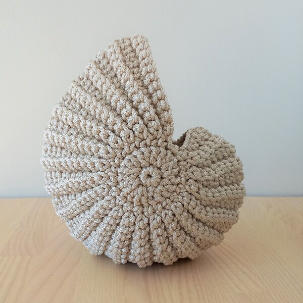 Ammonite Shell - Etsy