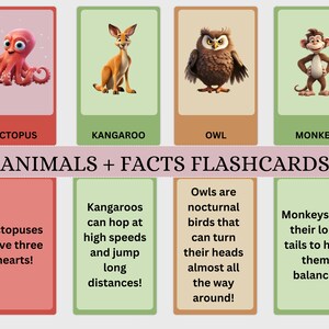 Educational Animals Flashcards, Lunch Box Cards, Fun and Playful ...
