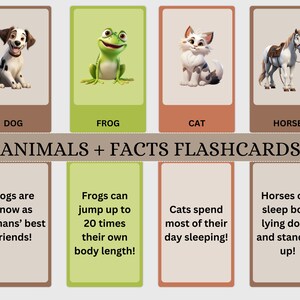 Educational Animals Flashcards, Lunch Box Cards, Fun and Playful ...