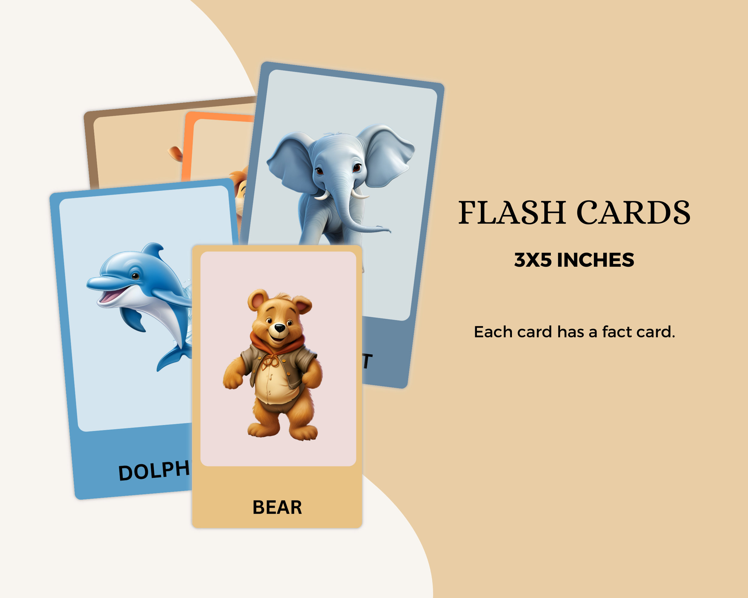 Educational Animals Flashcards, Lunch Box Cards, Fun and Playful ...