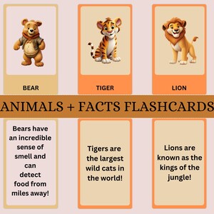 Educational Animals Flashcards, Lunch Box Cards, Fun and Playful ...