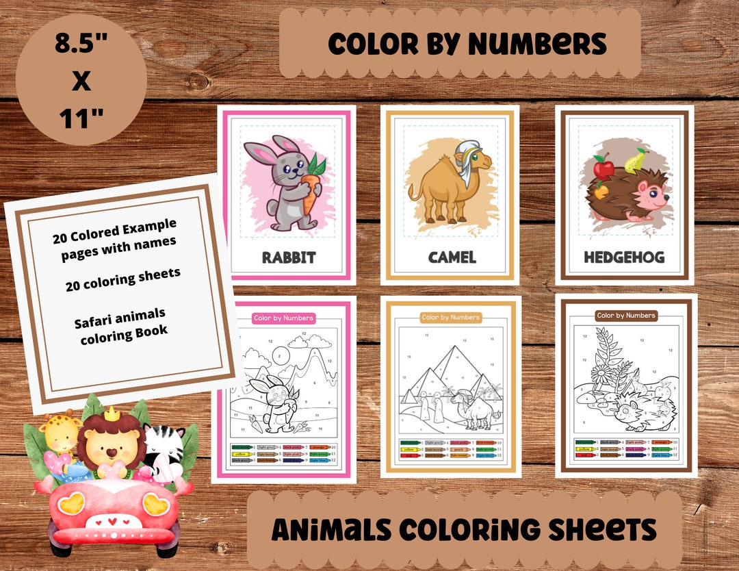 Animal Color by Number Book: Toddler & Preschool (PDF) - Etsy