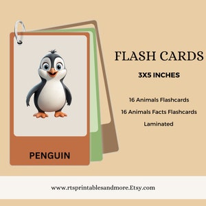 Educational Animals Flashcards, Lunch Box Cards, Fun and Playful ...