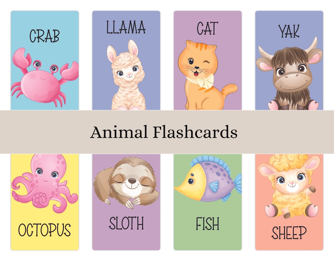 30 Cute Animal Flashcards, Preschool, Educational Cards, Lunch Box ...