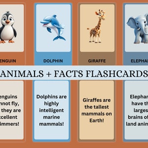 Educational Animals Flashcards, Lunch Box Cards, Fun and Playful ...