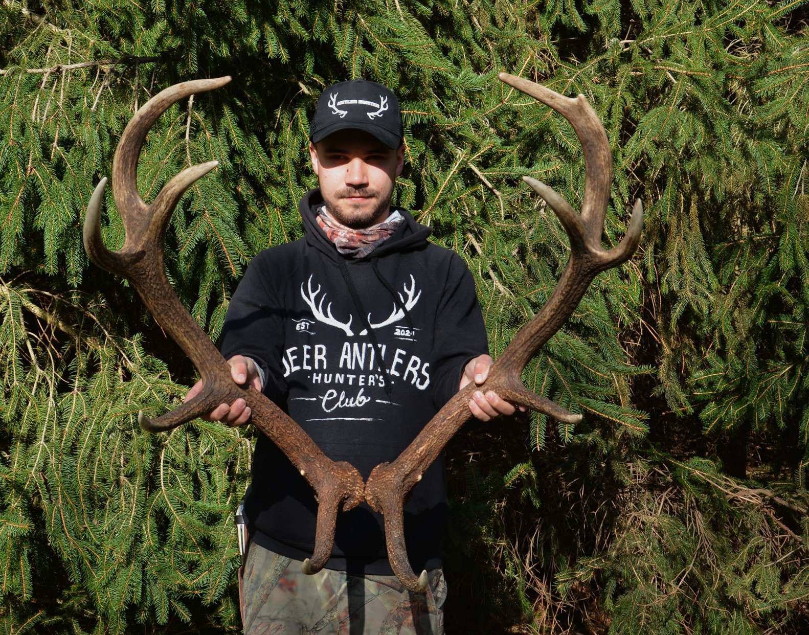 Huge Deer Antlers