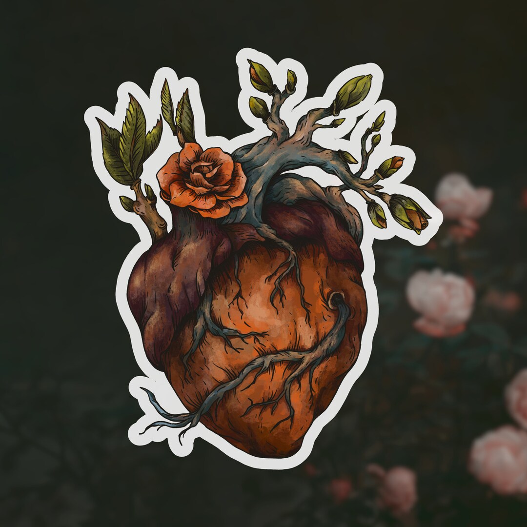 Anatomical Heart Sticker 2 X 2 Inch Size Oddities Sticker - Etsy