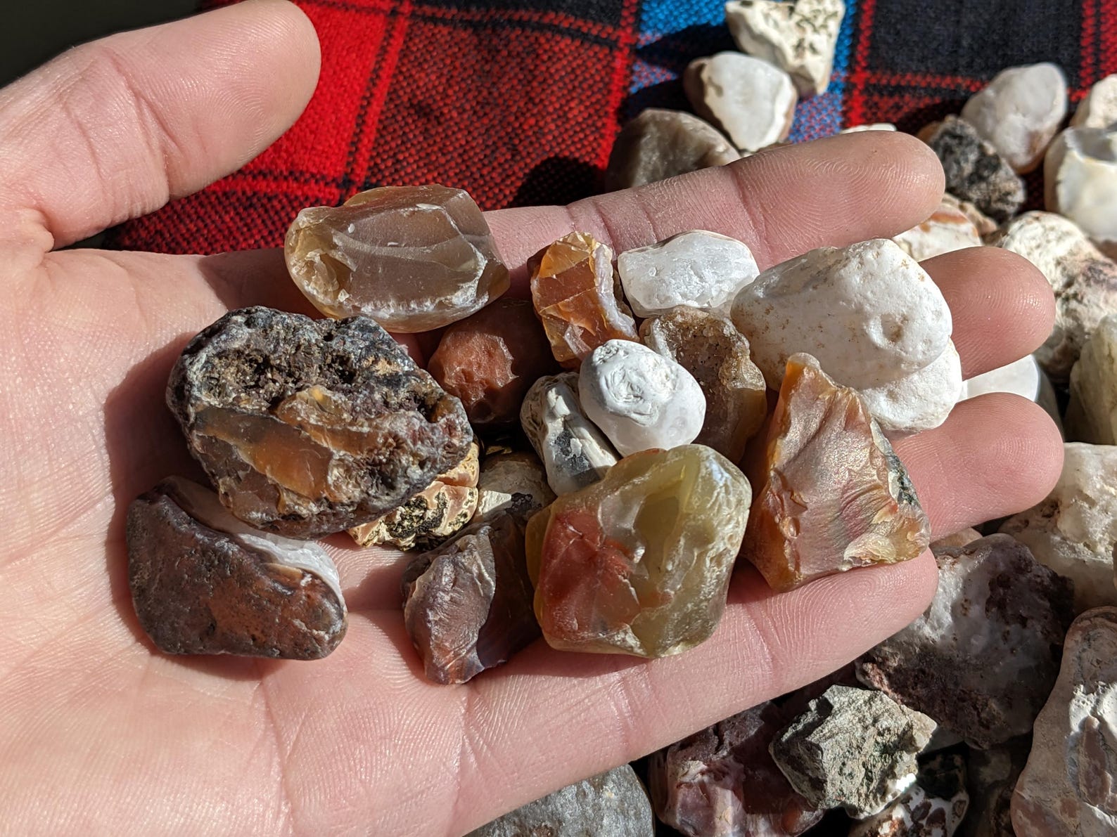 Scottish Beach Crystals | Raw Gemstones | Carnelian, Agate, Jasper ...