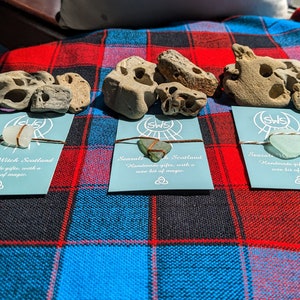 Scottish Hag Stones | Lucky Folklore Hagstones | Sets From All Over Scotland | Random Selection ...