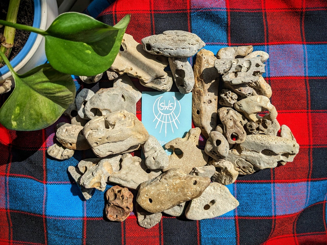 Scottish Hag Stones | Lucky Folklore Hagstones | Sets From All Over ...
