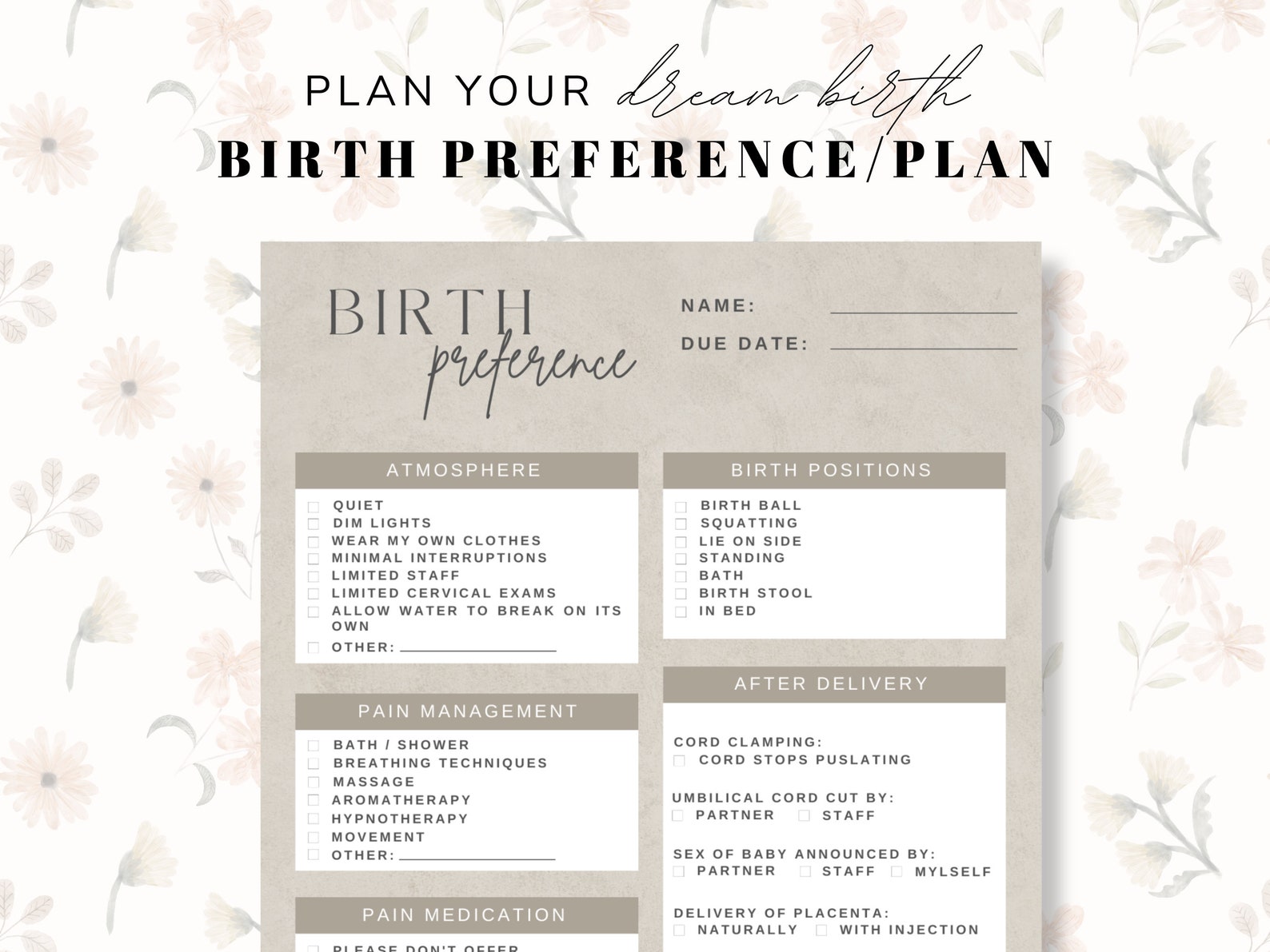 Birth Plan, Birth Preferences, Birth Plan Editable, Birth Plan Template ...