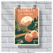 Georgia Travel Poster, Georgia Poster, Georgia Vintage Poster, Georgia ...