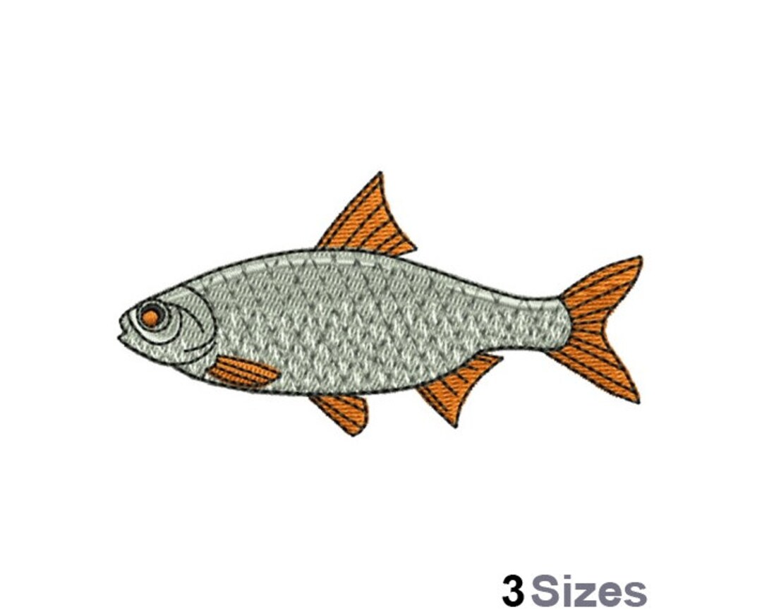 Roach Fish - Machine Embroidery Design - 3 Sizes, Fish Embroidery ...