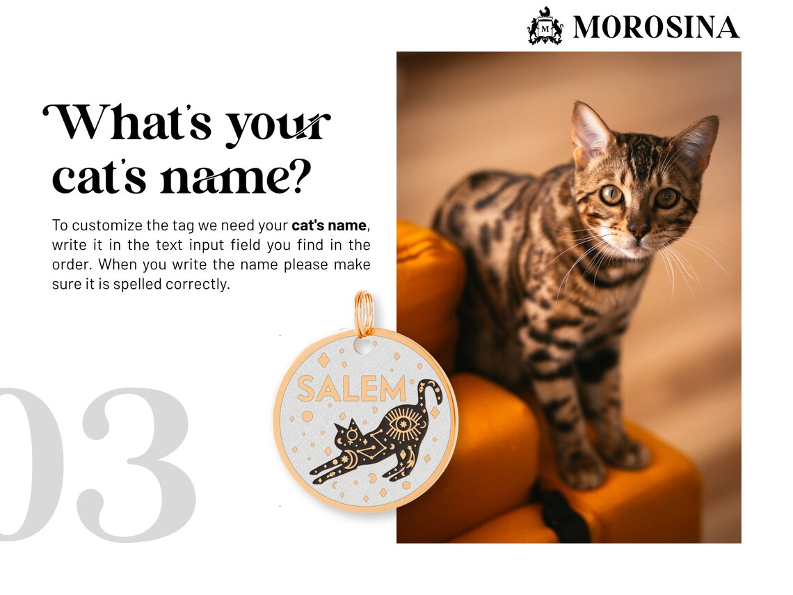 Custom Engraved ID Tag for Cat With Name and Cat Silhouette in a ...