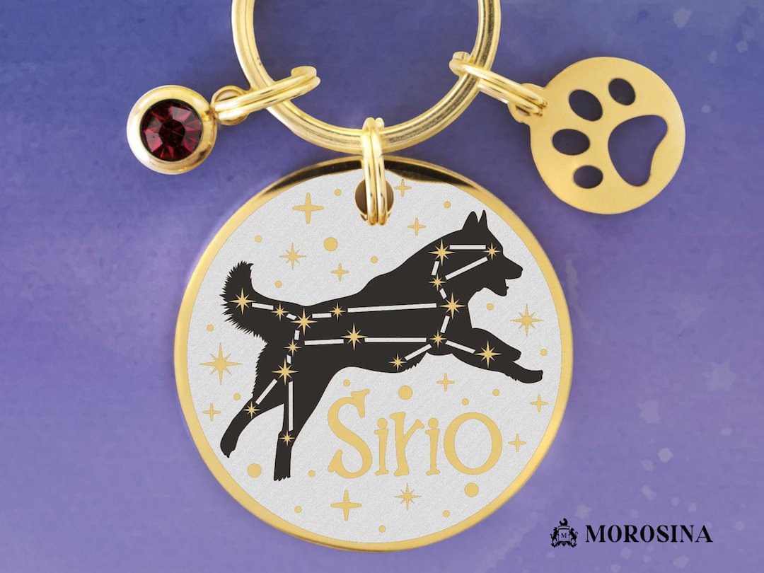 Custom Dog ID Tag With Name & Black Dog Wizard Design, Sirius ...
