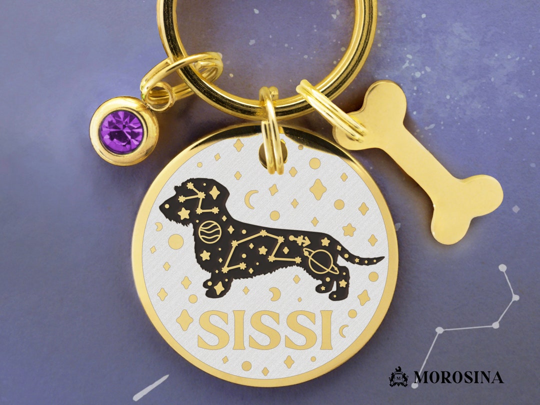 Custom Dog ID Tag With Engraved Wire Haired Dachshund With Name and a ...