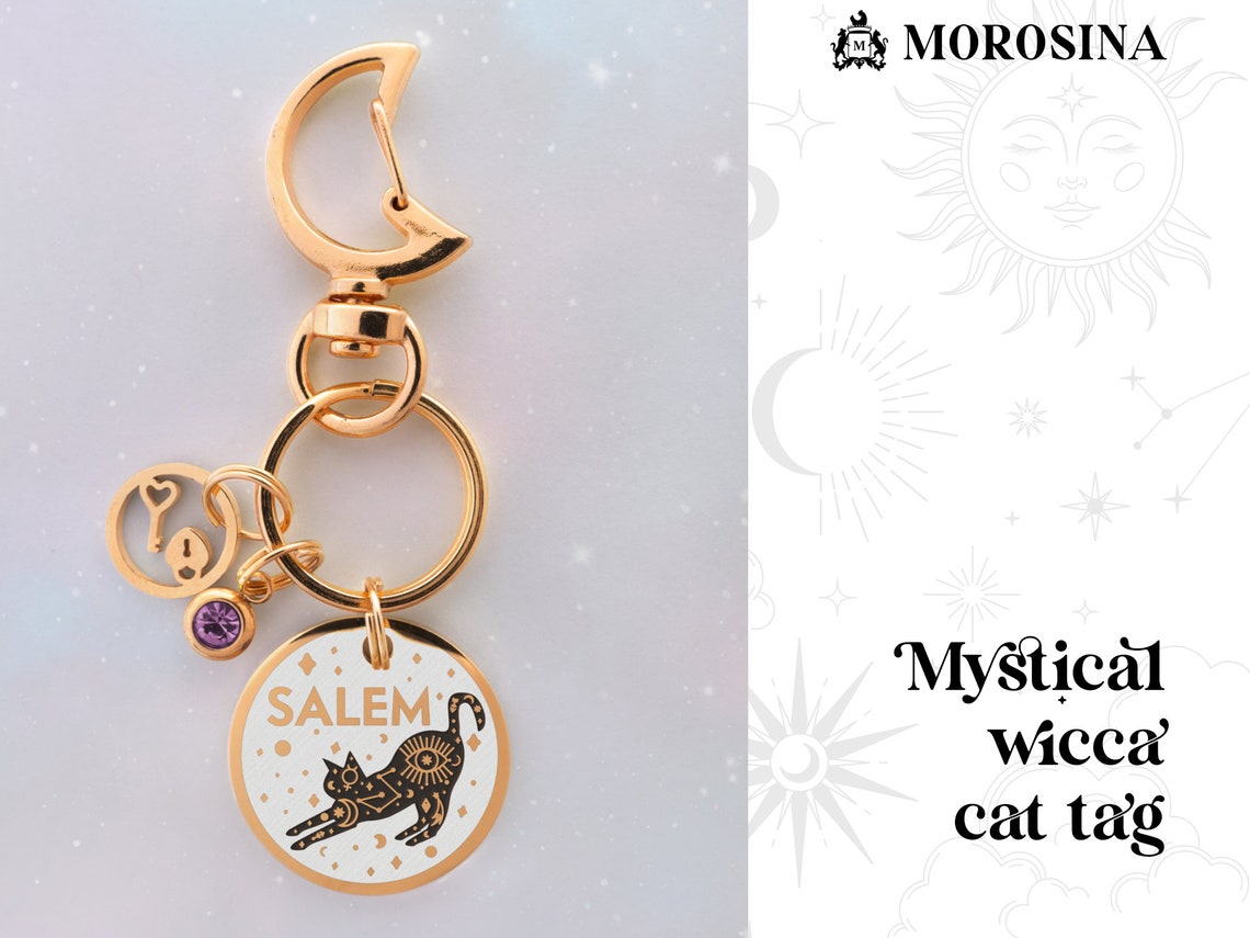 Custom Engraved ID Tag for Cat With Name and Cat Silhouette in a ...