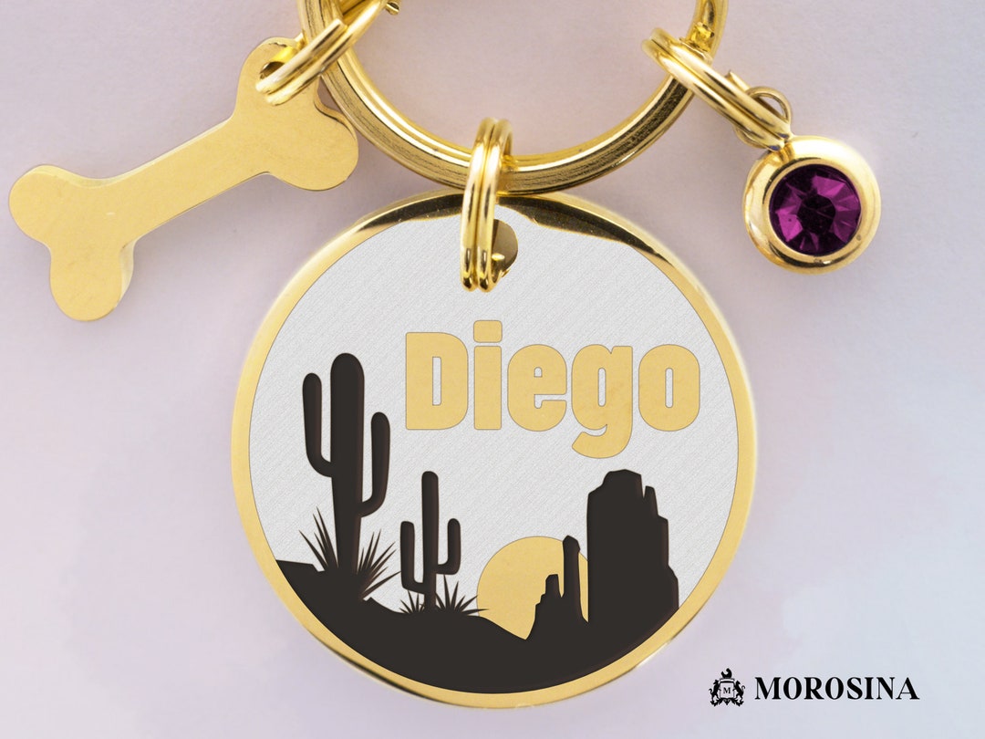 Custom Engraved ID Tag for Dog With Name in a Desert Landscape Design ...
