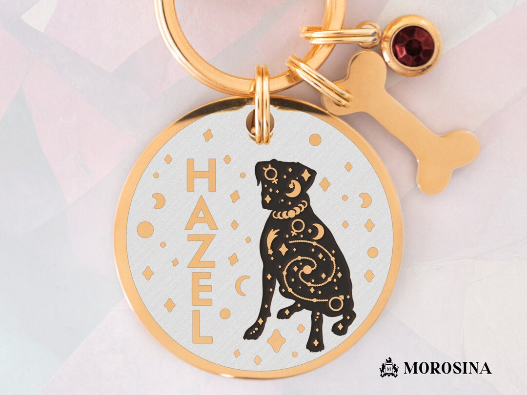 Custom Engraved ID Tag for Dog With Name and an Labrador Silhouette in ...