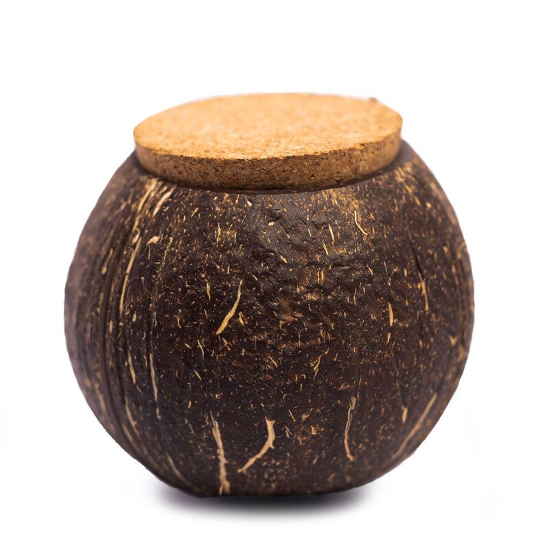 Thenga Coconut Shell Tight Storage Containers With Lid | Storing ...