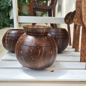 Thenga Coconut Shell Pot Shaped Planter Pots | Ideal for Succulents ...