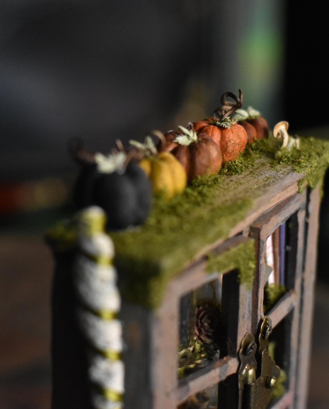 Miniature Witchy Cabinet Bookshelf - Etsy