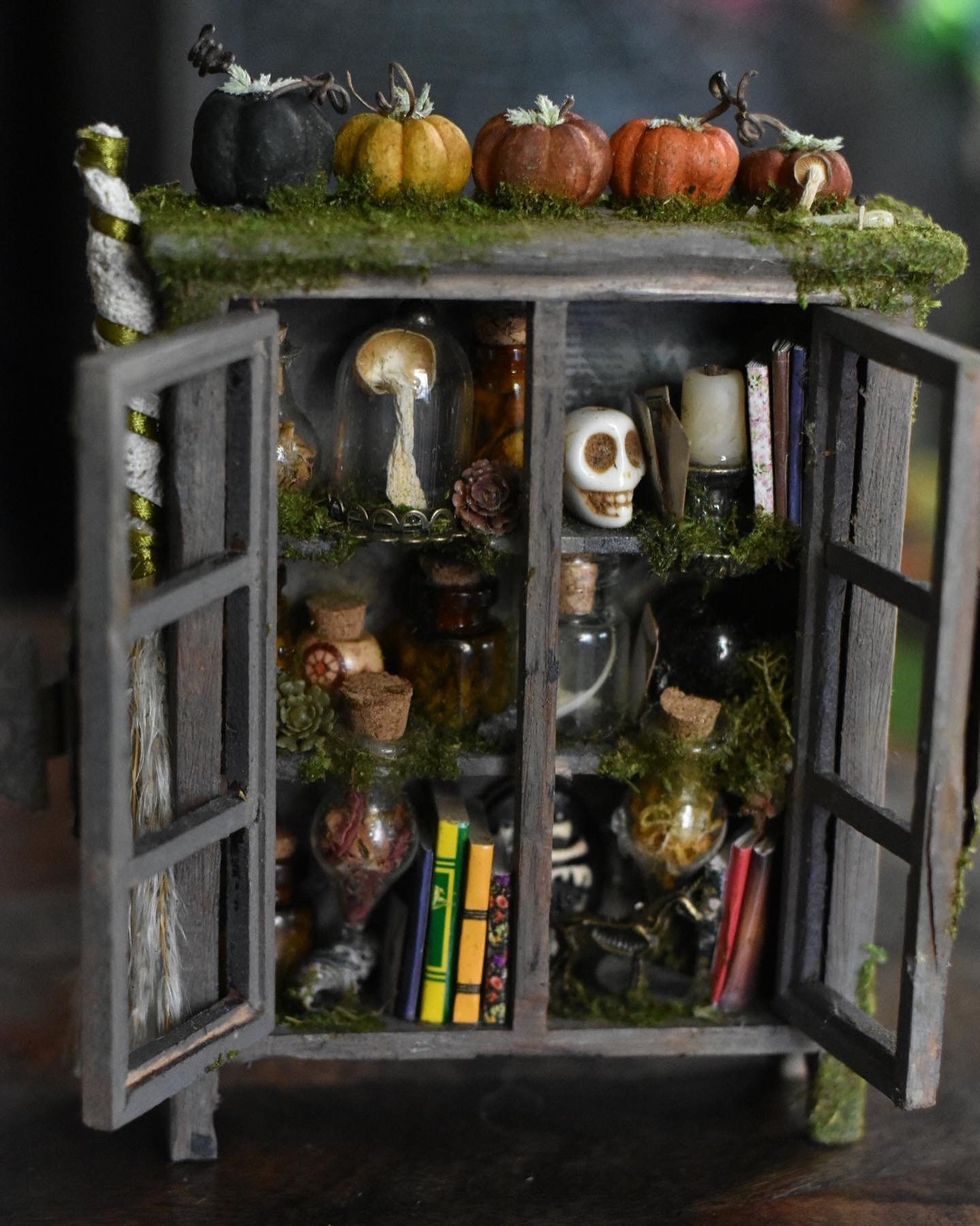 Miniature Witchy Cabinet Bookshelf - Etsy