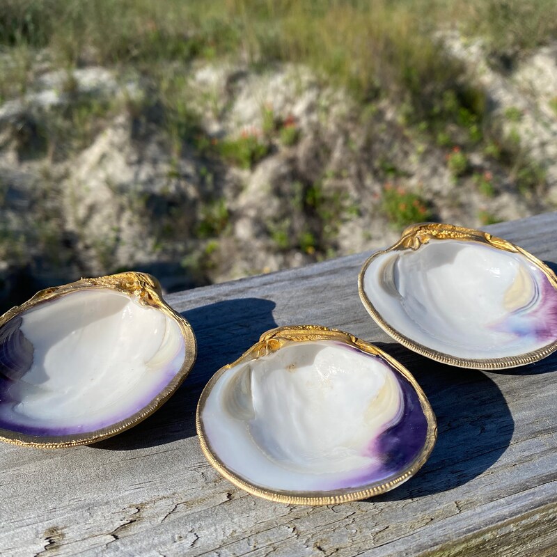 Clam Shell Jewelry - Etsy