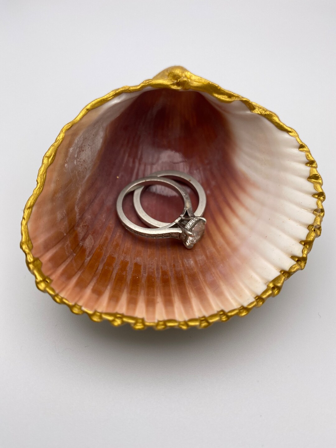 Cockle Shell Jewelry Holder - Etsy