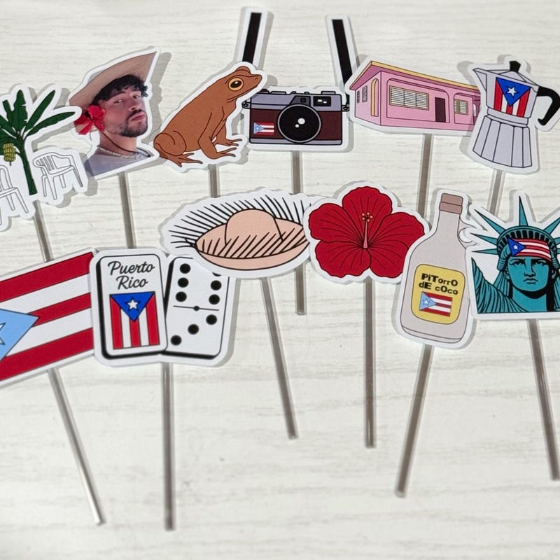 Bad Bunny Camera - Etsy