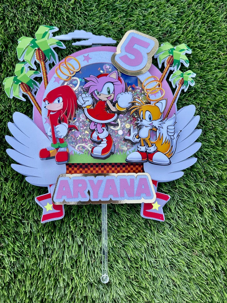 Amy Rose Sonic Inspired Cake Topper Shaker - Etsy