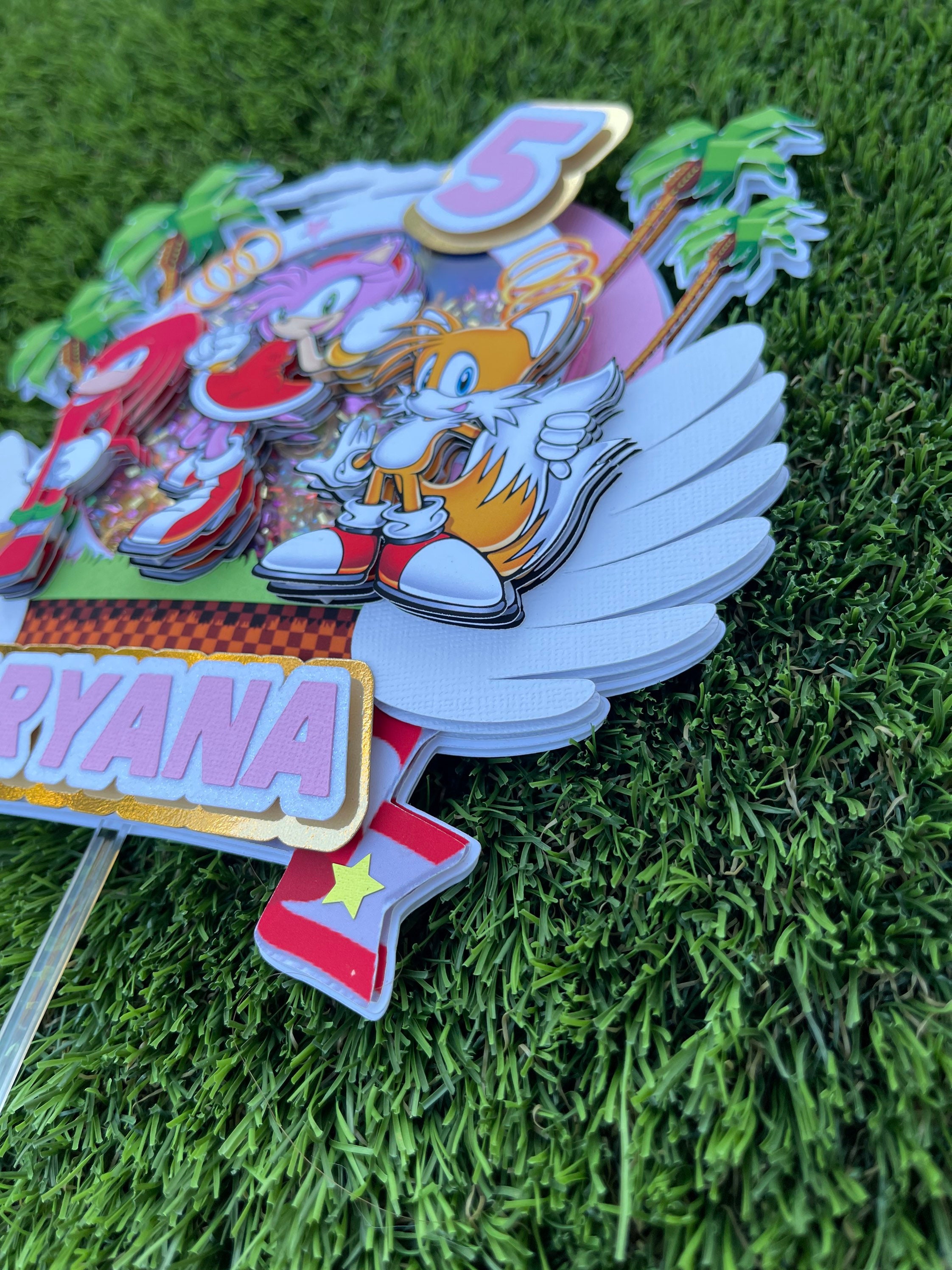 Amy Rose Sonic Inspired Cake Topper Shaker - Etsy