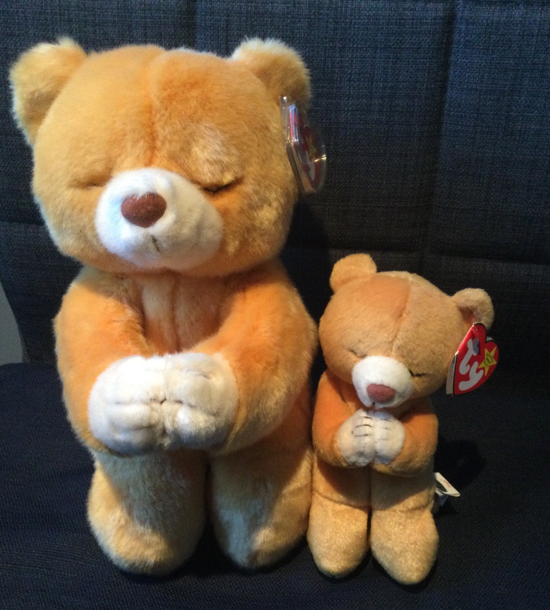 Vintage Pair of Ty Beanie Baby and Buddy Hope Bears, Excellent ...