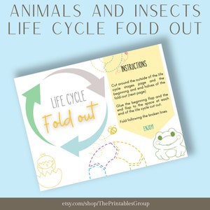Life Cycle Fold Out Printable | Chicken, Bee, Frog and Butterfly Unit ...
