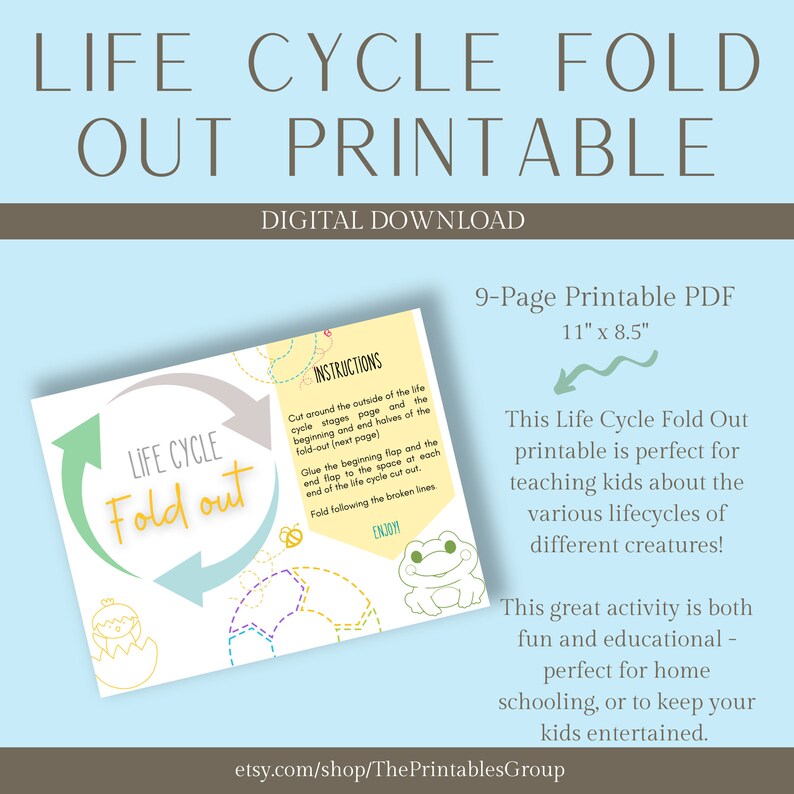 Life Cycle Fold Out Printable | Chicken, Bee, Frog and Butterfly Unit ...