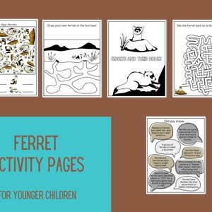 Ferret Activity Sheets Printable | Fun Kids Activity Kit | Ferret ...