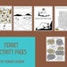 Ferret Activity Sheets Printable | Fun Kids Activity Kit | Ferret ...